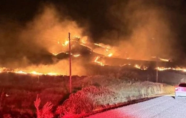 Large-scale forest fire in Turkey: nearly 2000 residents evacuated ...